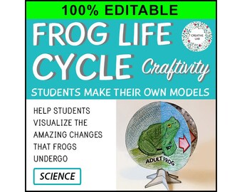 Chicken Life Cycle 3D Model Craft Activity // Printable - Etsy