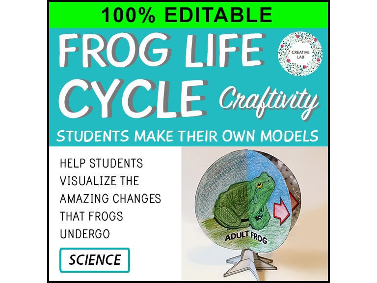 Frog Life Cycle - 3D Model Craft Activity - 100% Editable // Printable ...