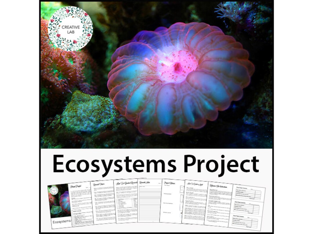 Ecosystems Research Project PBL // Printable Teaching Resource // No ...