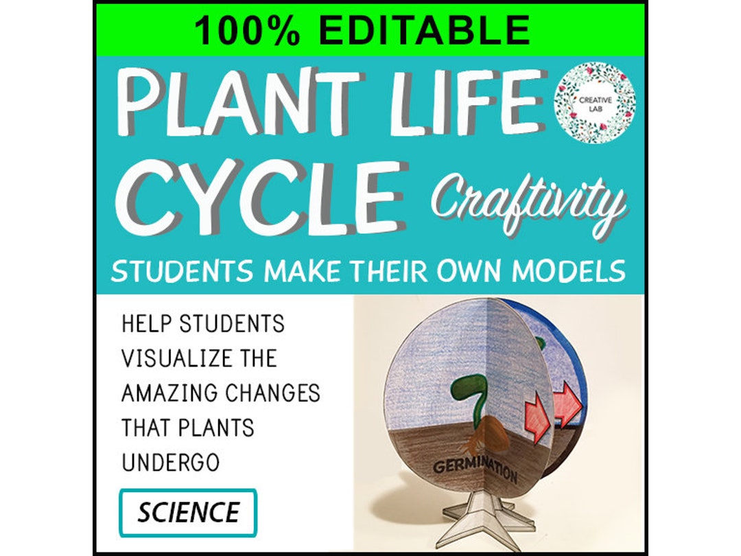 Plant Life Cycle - 3D Model Craft Activity - 100% Editable - Etsy