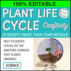 Plant Life Cycle - 3D Model Craft Activity - 100% Editable - Etsy