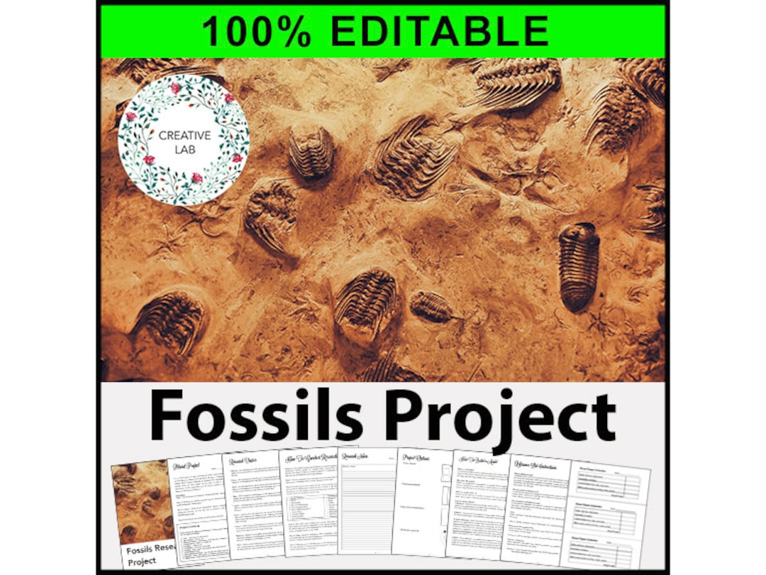 Fossil Research Project - 100% Editable PBL // Printable Teaching ...