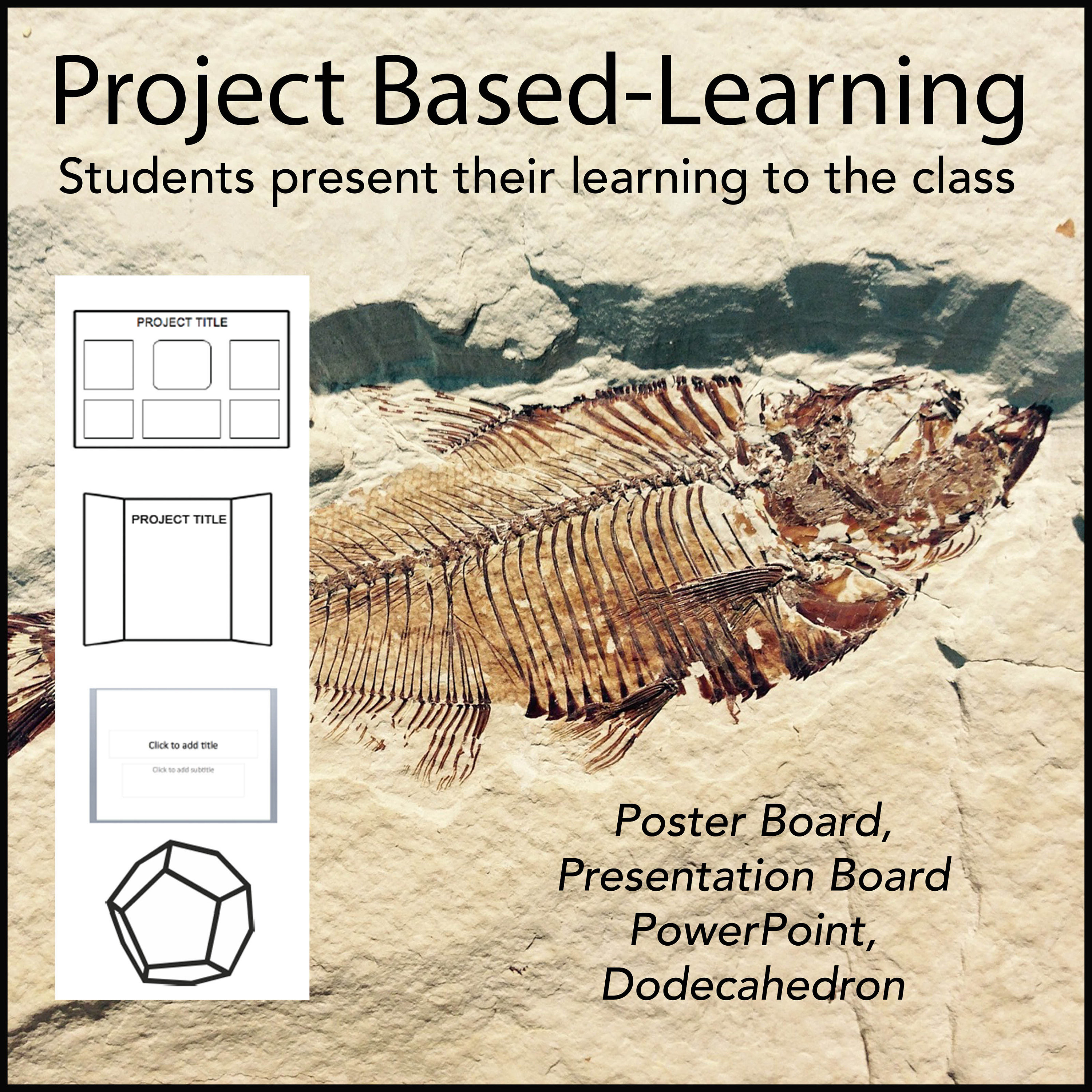 Fossil Research Project 100% Editable PBL // Printable Teaching ...