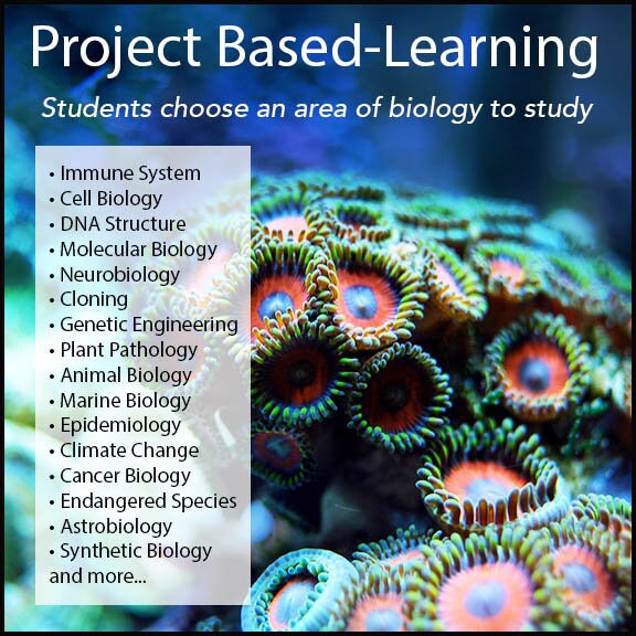 Biology Research Project PBL // Printable Teaching Resource // No Prep ...
