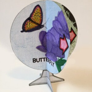 Butterfly Life Cycle - 3D Model Craft Activity // Printable Teaching ...