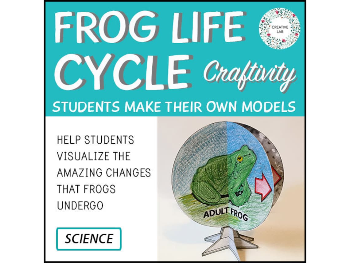 Frog Life Cycle - 3D Model Craft Activity // Printable Teacher School ...