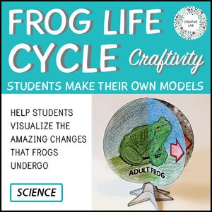 Frog Life Cycle - 3D Model Craft Activity // Printable Teacher School ...