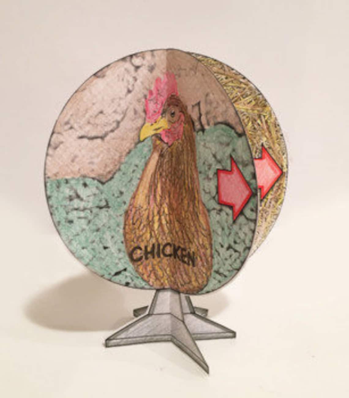 Chicken Life Cycle - 3D Model Craft Activity // Printable Teaching ...