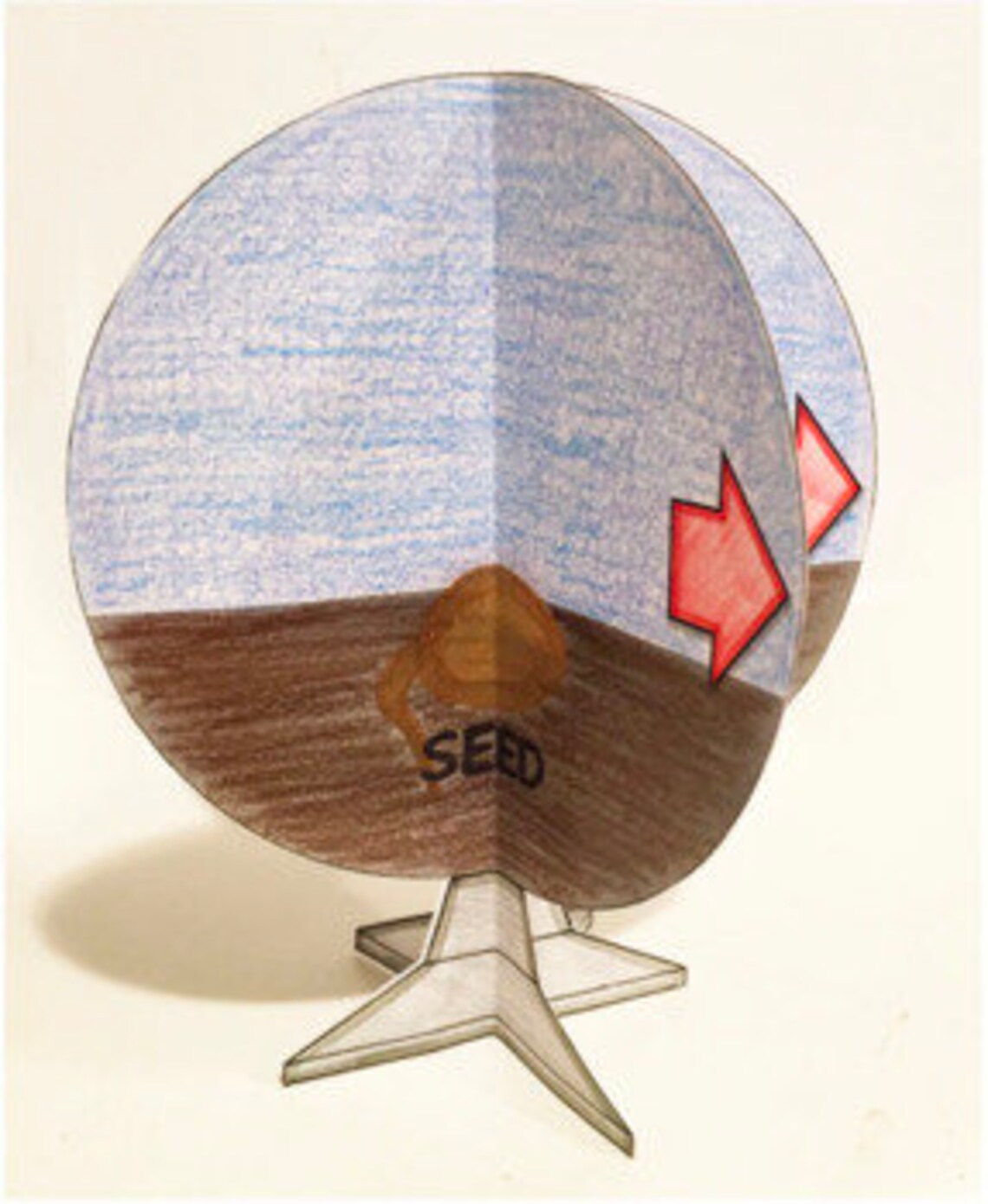 Plant Life Cycle - 3D Model Craft Activity - 100% Editable - Etsy