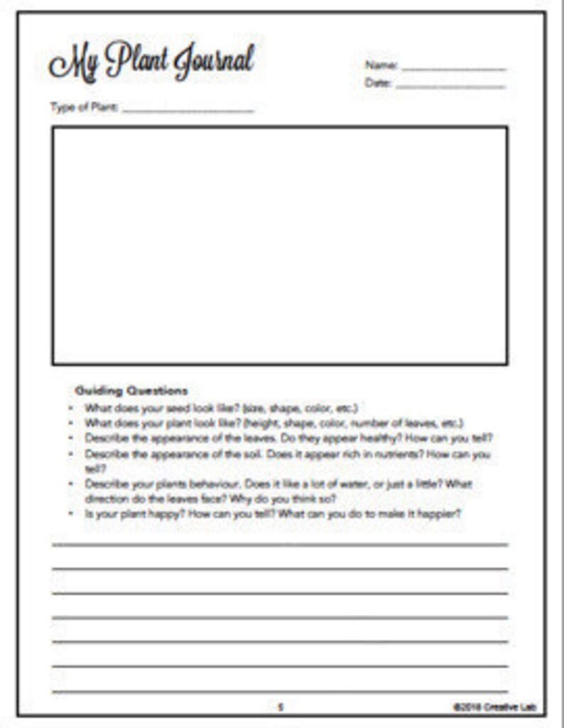 Classroom Garden Garden Based Learning 100% Editable // Printable ...