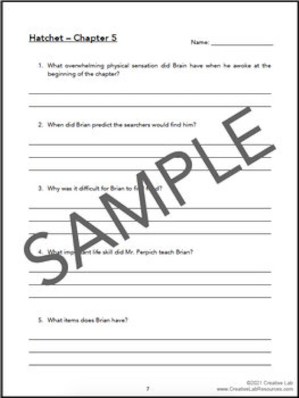 Hatchet - Book Chapter Comprehension Questions & Answers // Printable ... Hatchet - Book Chapter Comprehension Questions & Answers // Printable ...