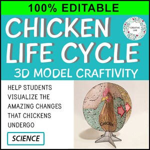 Chicken Life Cycle - 3D Model Craft Activity - 100% Editable ...