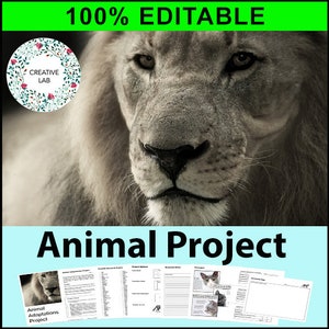 Animal Research Project - 100% Editable // Printable Teaching Resource ...