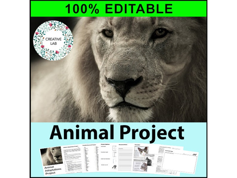 Animal Research Project - 100% Editable // Printable Teaching Resource ...