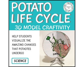Plant Life Cycle - 3D Model Craft Activity - Etsy