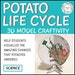 Potato Life Cycle - 3D Model Craft Activity - Etsy