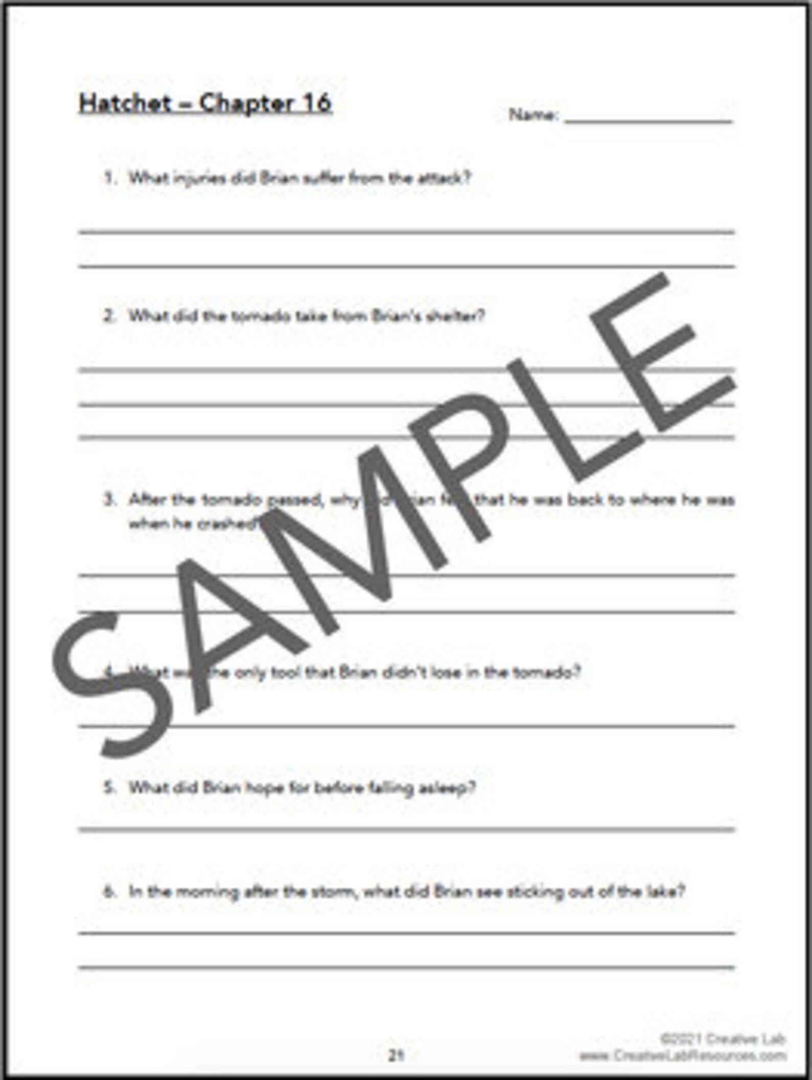 Hatchet - Book Chapter Comprehension Questions & Answers // Printable ...