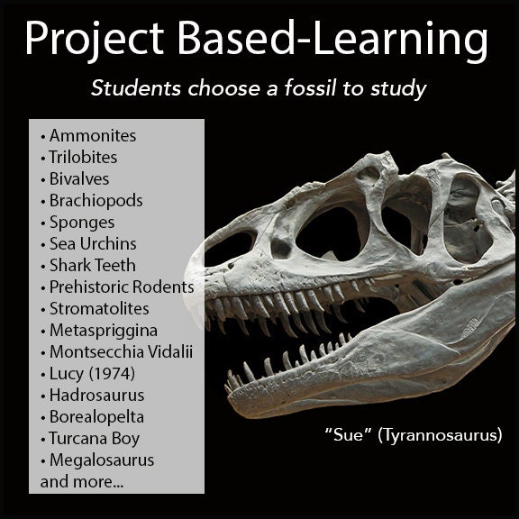 Fossil Research Project 100% Editable PBL // Printable Teaching ...