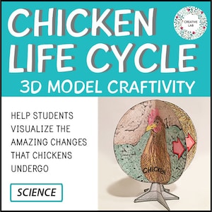 Chicken Life Cycle - 3D Model Craft Activity // Printable Teaching ...