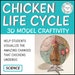 Chicken Life Cycle - 3D Model Craft Activity // Printable Teaching ...