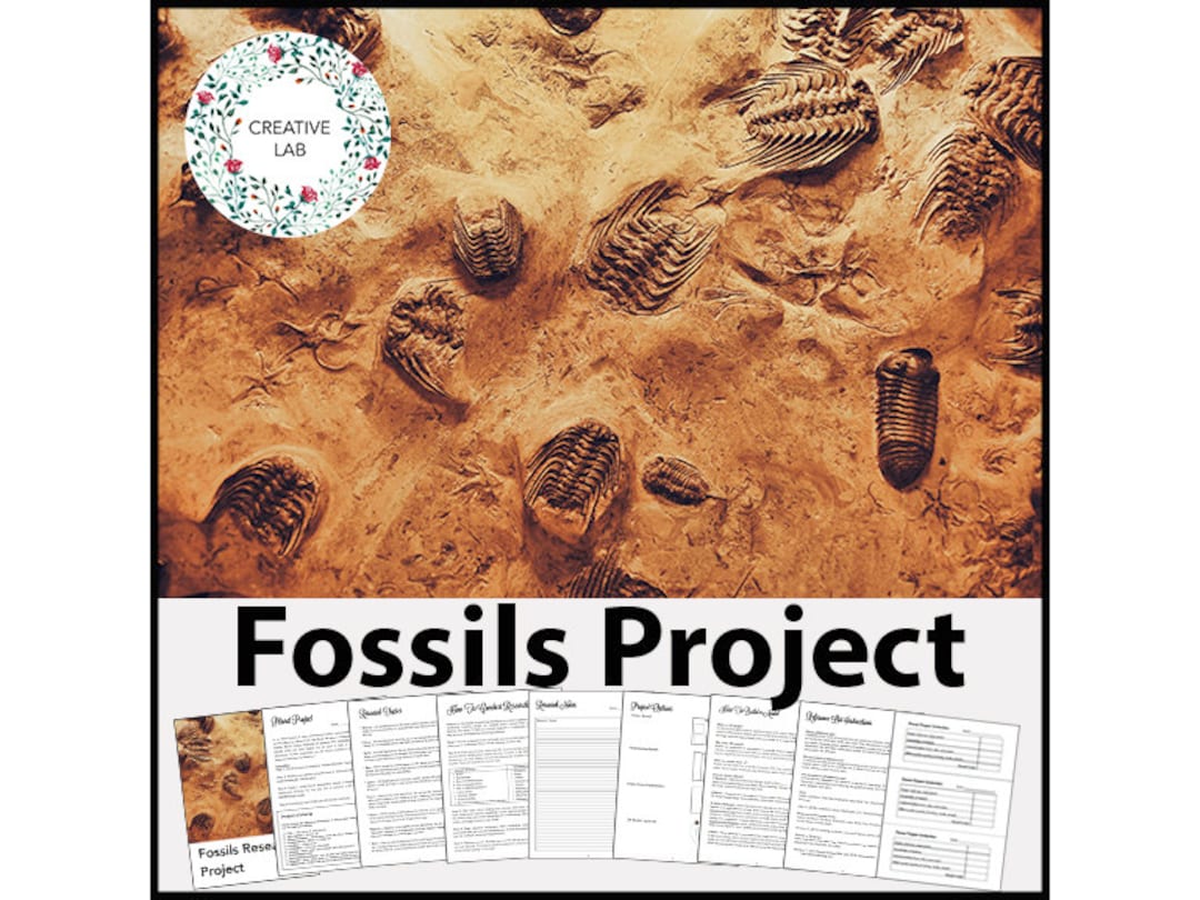 Fossil Research Project PBL // Printable Teaching Resource // No Prep ...