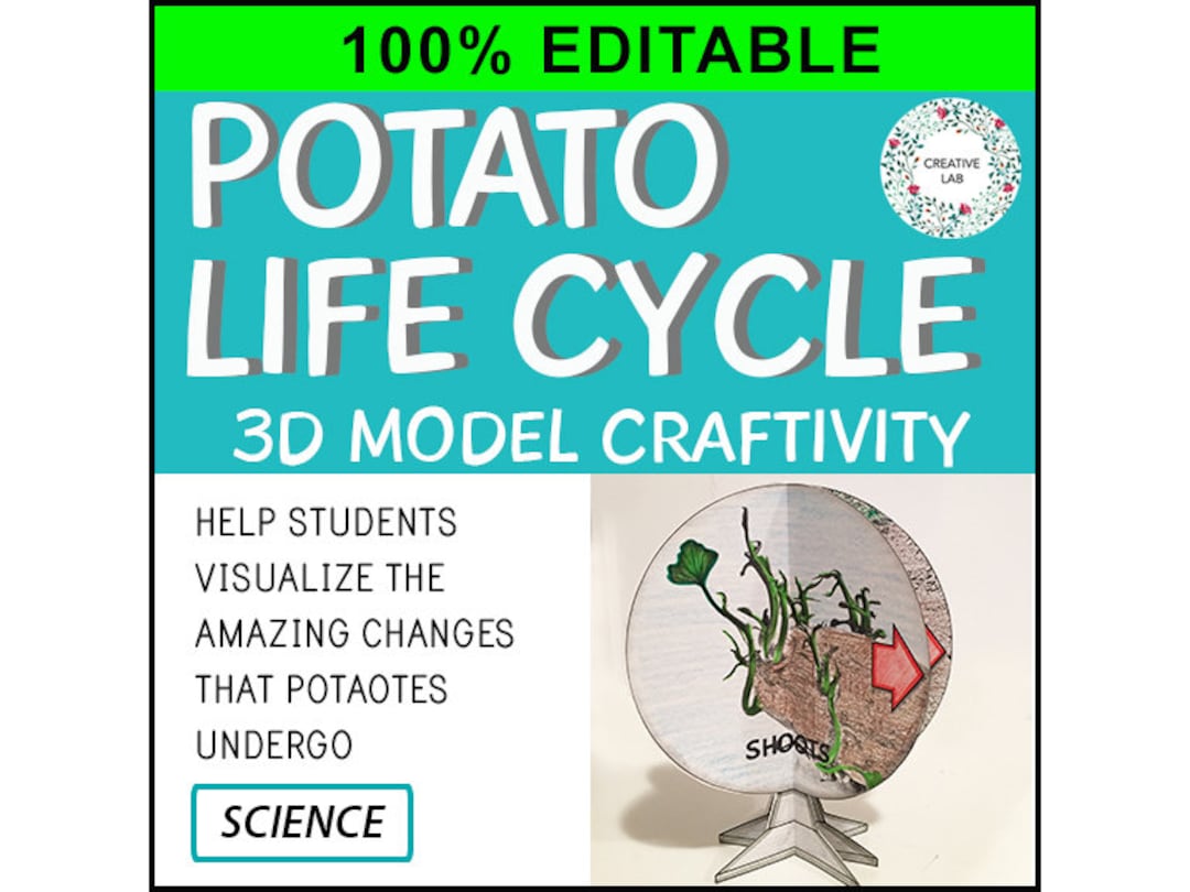 Potato Life Cycle - 3D Model Craft Activity - 100% Editable - Etsy