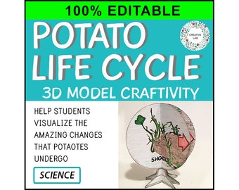 Potato Life Cycle 3D Model Craft Activity - Etsy