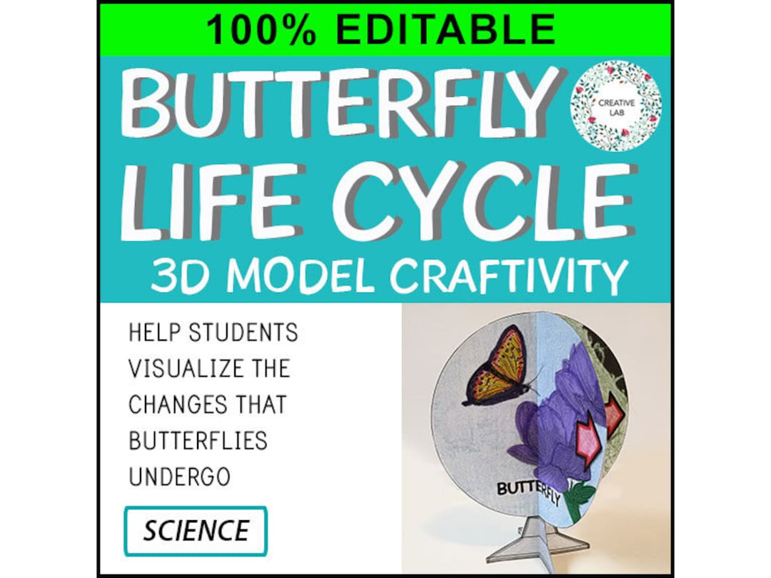 Butterfly Life Cycle - 3D Model Craft Activity - 100% Editable ...