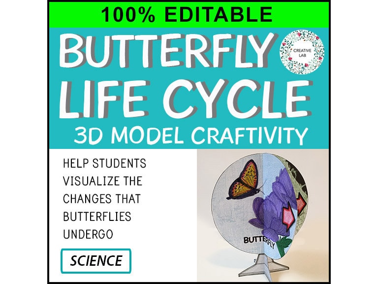 Butterfly Life Cycle - 3D Model Craft Activity - 100% Editable ...