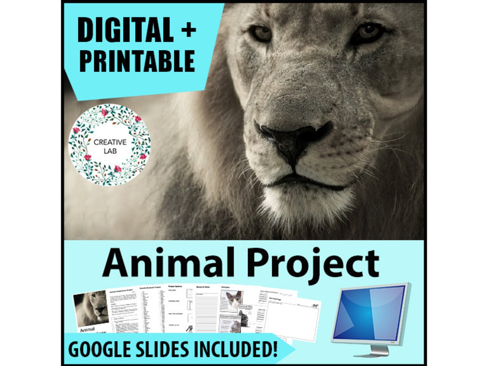 Animal Research Project Adaptations and Evolution PBL // - Etsy