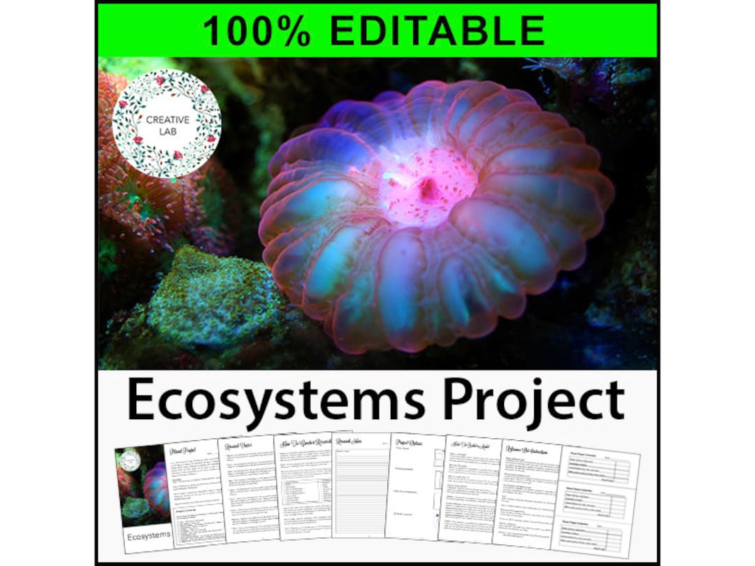 Ecosystems Research Project - PBL - 100% Editable // Printable Teaching ...