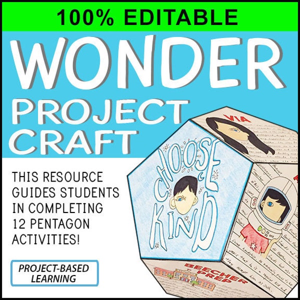 Wonder Novel Study - Etsy