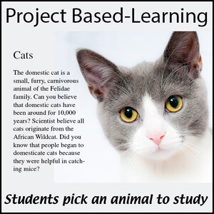 Animal Research Project - 100% Editable // Printable Teaching Resource ...