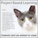 Animal Research Project - 100% Editable // Printable Teaching Resource ...