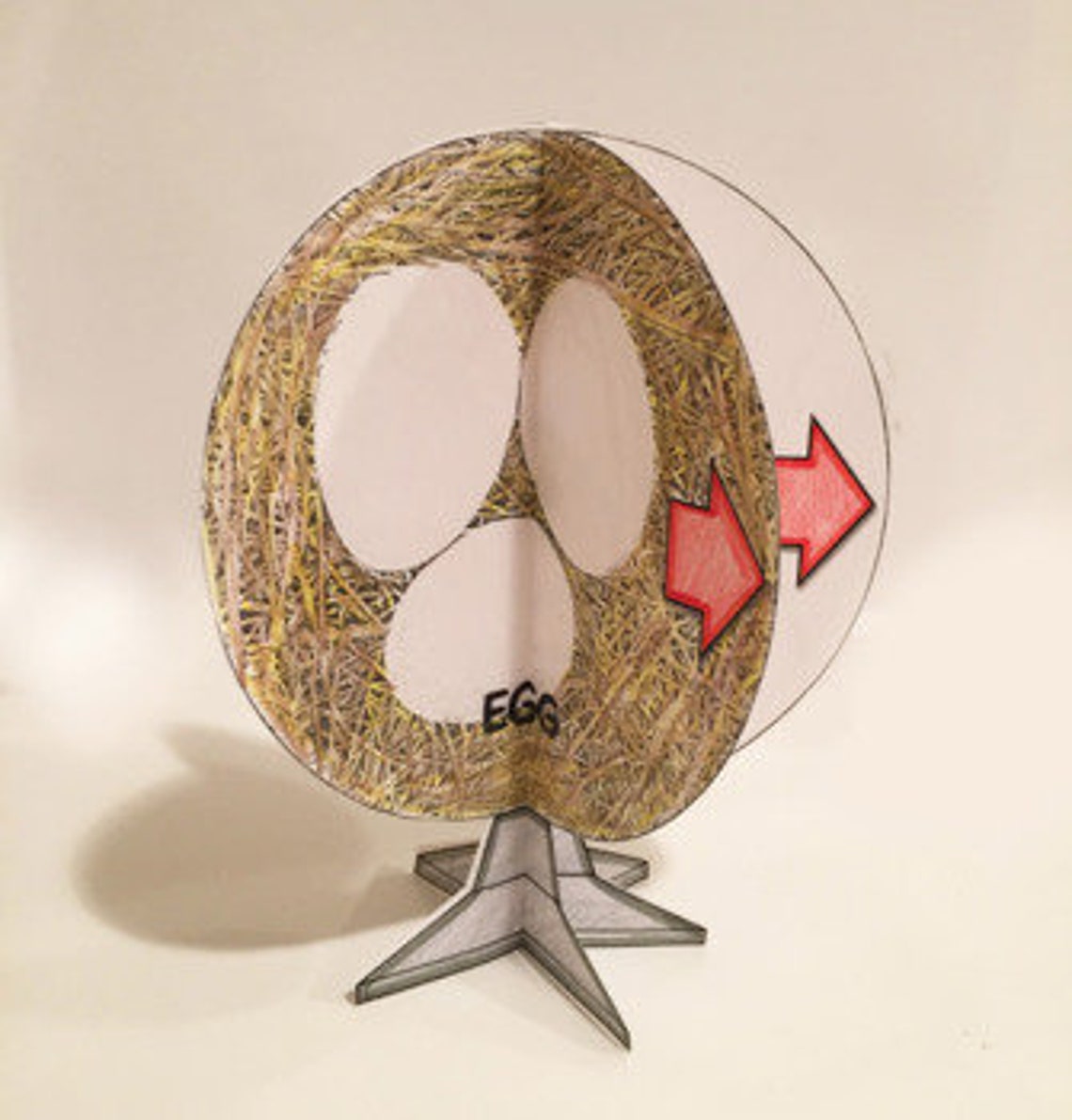 Chicken Life Cycle 3D Model Craft Activity 100% Editable - Etsy