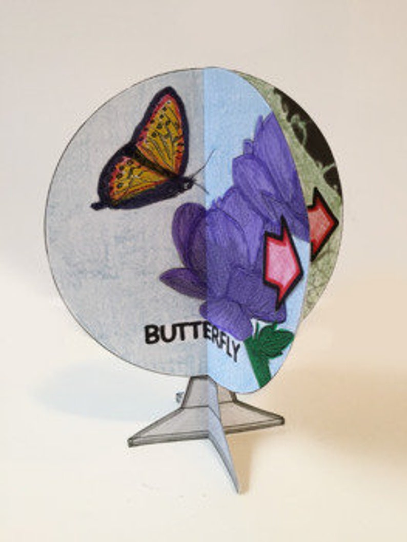 Butterfly Life Cycle - 3D Model Craft Activity - 100% Editable ...