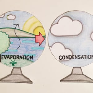 Water Cycle Craft Activity - 3D Model // Printable Teaching Resource ...