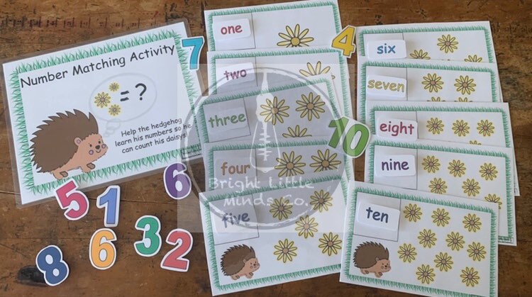 Numbers & Counting 1-10 Hedgehog Learning Activity - Etsy