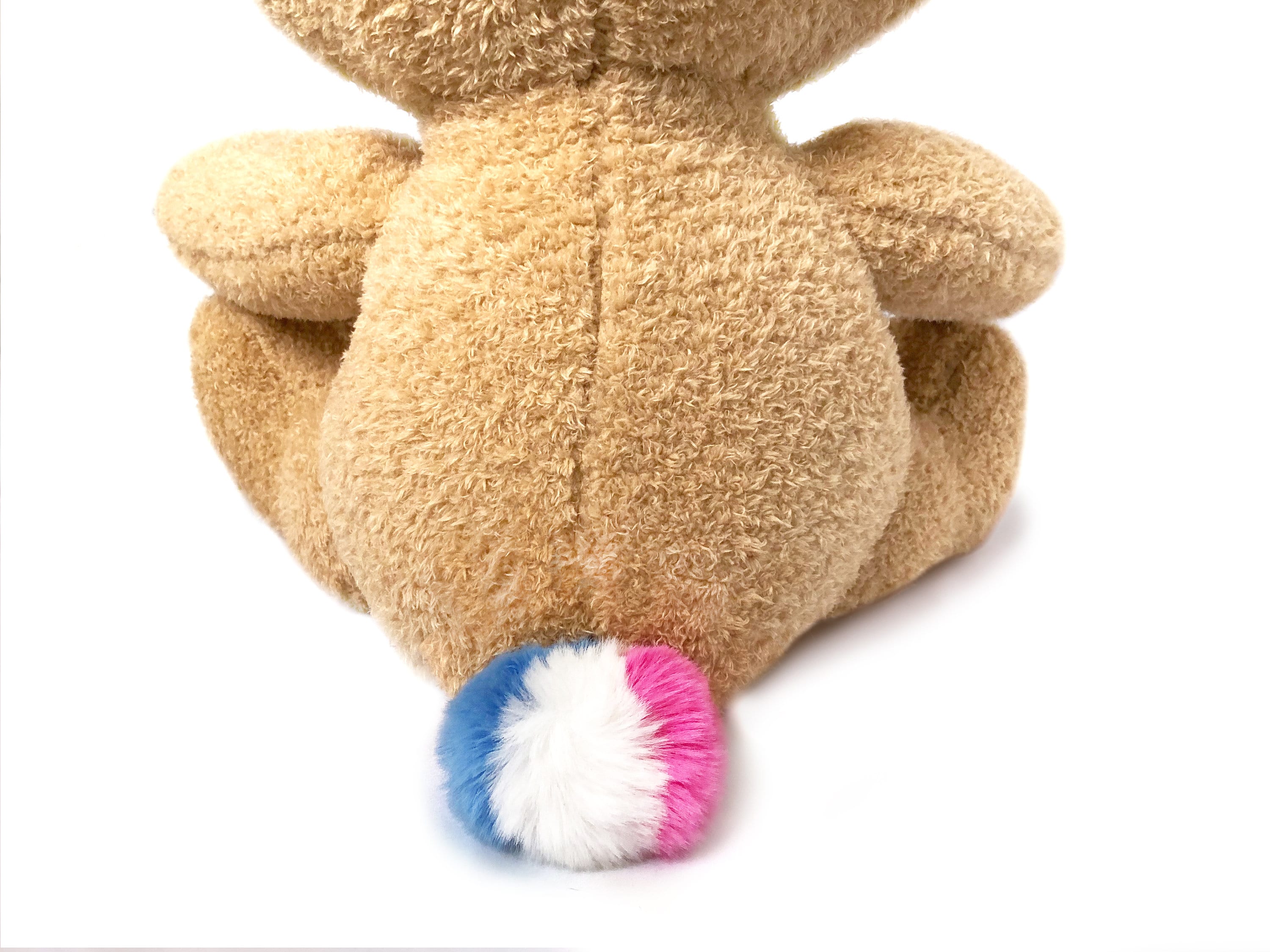 Transgender Brave Bear - Etsy