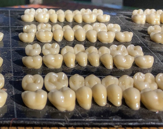 Vintage Trubyte Teeth & Case - Etsy