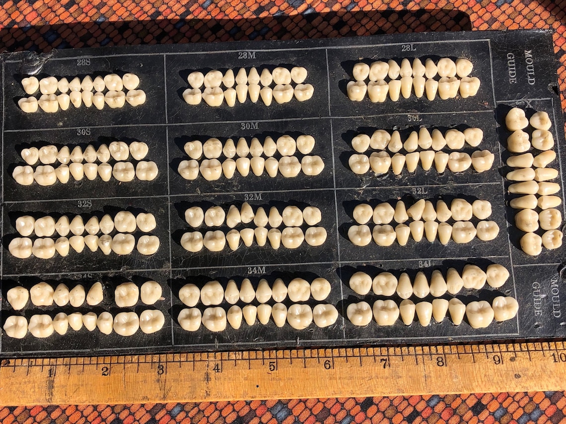 Vintage Trubyte Teeth & Case | Etsy