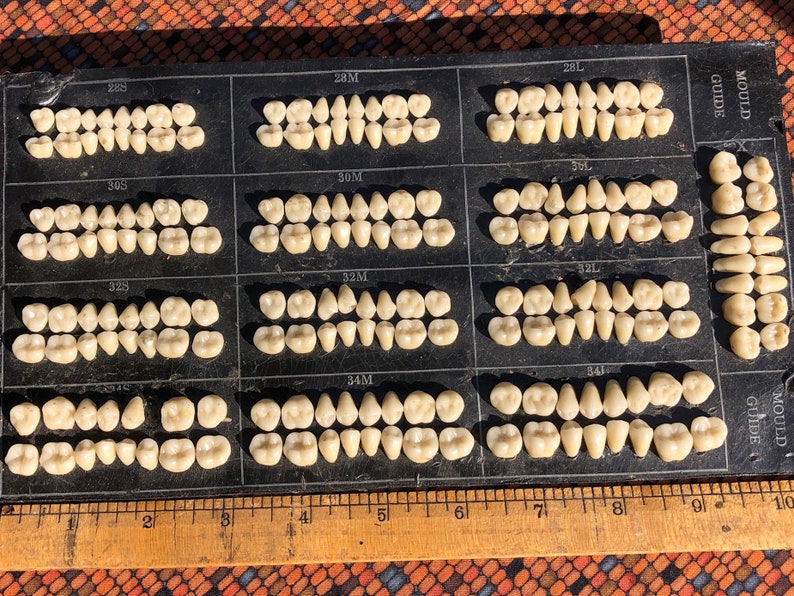 Vintage Trubyte Teeth & Case - Etsy