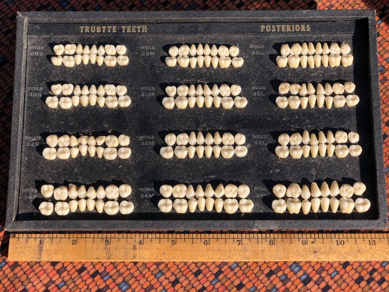 Vintage Trubyte Teeth & Case - Etsy