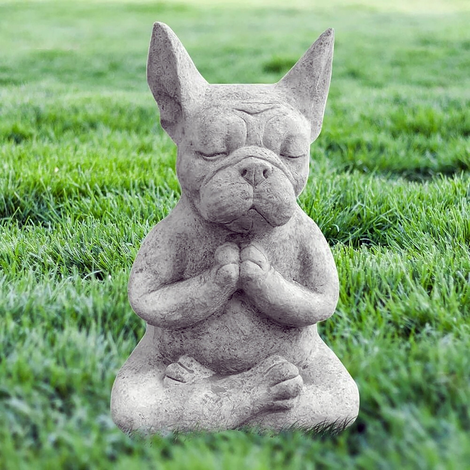 Yoga French Bulldog