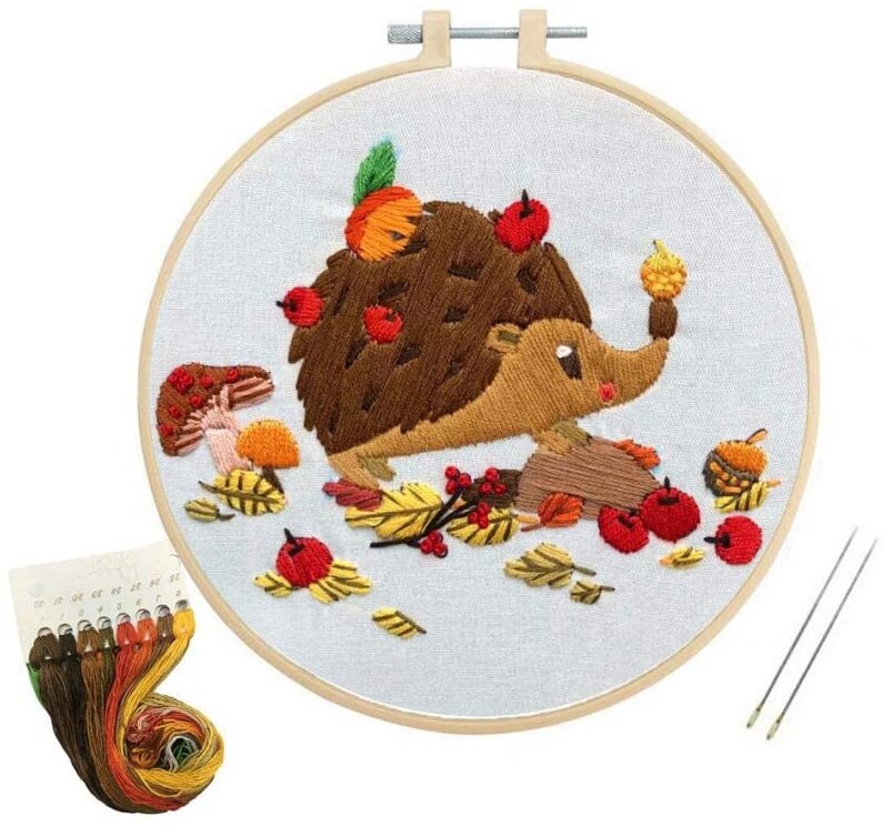 Adorable Hedgehog Beginner Embroidery Kit - Etsy
