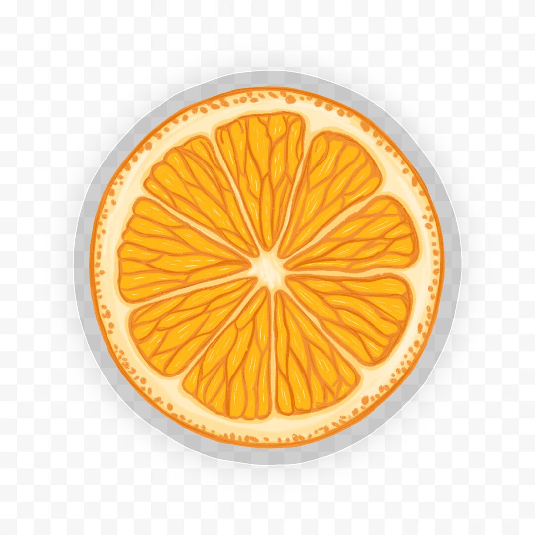 Orange Sticker | Orange Slice Sticker | Waterproof and Dishwasher Safe ...