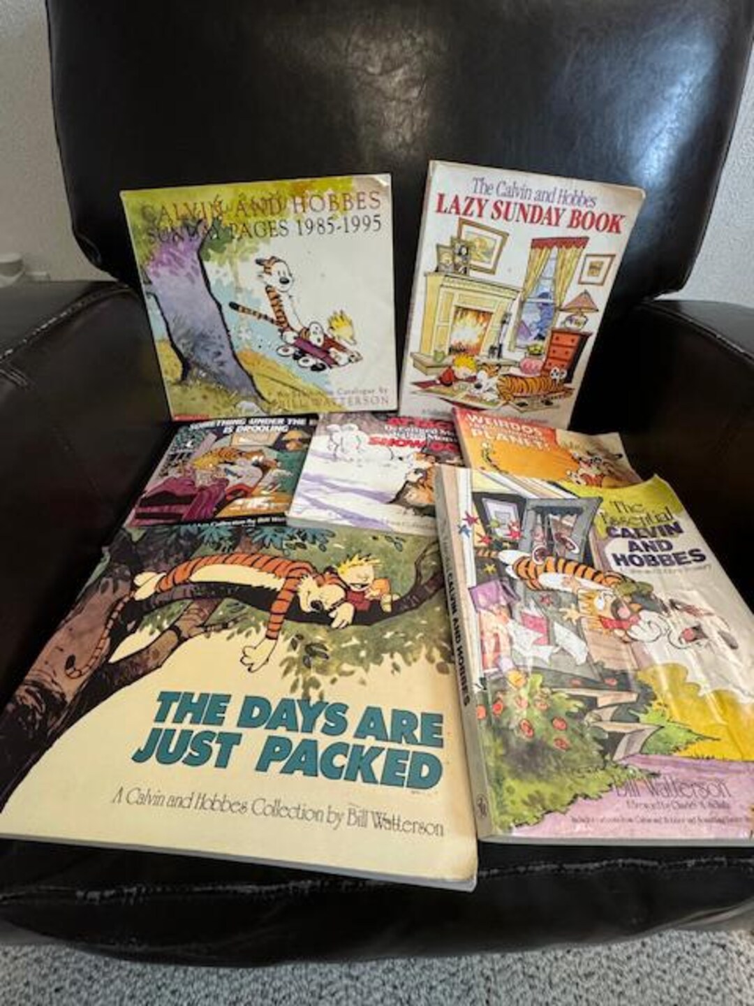 Calvin and Hobbes Bill Waterson Comic Book Cartoon Funny Book Lot of 7 ...
