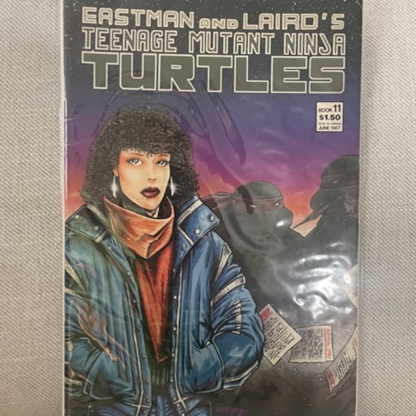 Eastman and Laird Tmnt - Etsy