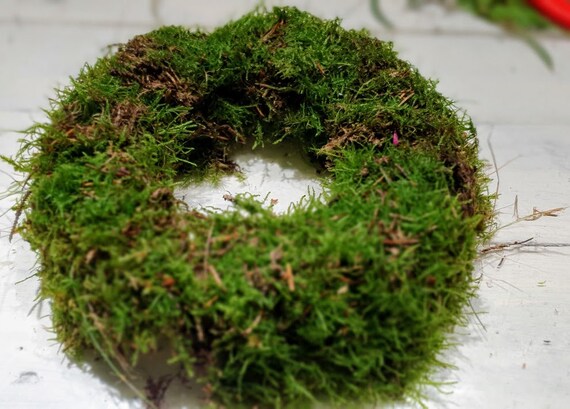 Home & Living Home Décor Moss wreath moss ring etna.com.pe
