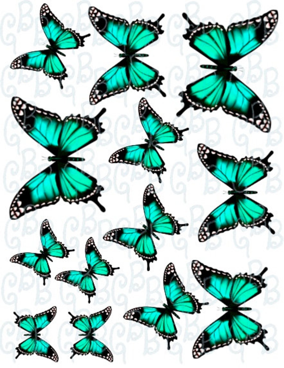 Mariposas turquesas Descargar digital - Etsy México